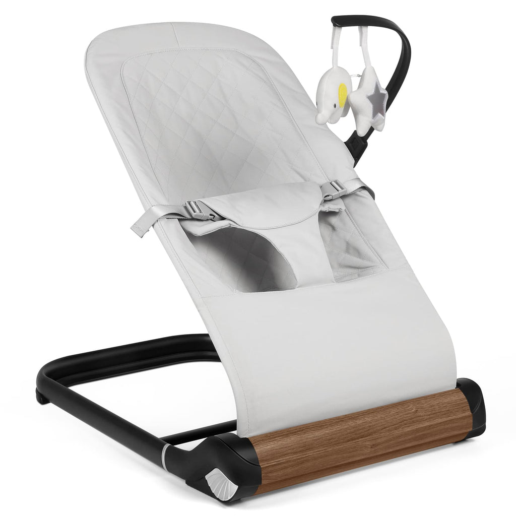 3 in 1 Adjustable Baby Bouncer BC03